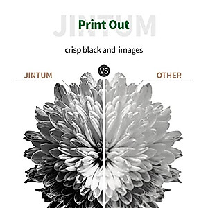 JINTUM Compatible TL-660 Toner Cartridge Replacement for Pantum TL-660 TL-630 Work with DL730 for Pantum L2300DW L2350DW L2710FDW M15DW M29DW M118DW Series Printer (1 Black)
