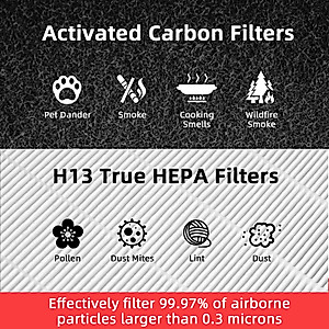 APPLIANCEMATES HSP001 Filter Replacement for Hathaspace Air Purifier HSP001, 4-in-2 H13 True HEPA Filter and Activated Carbon Filter,2 Pack