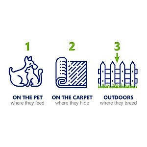 Flea Destroyer Beneficial Nematodes Steinernema Feltiae (SF) for Organic Natural Outdoor Lawn and Garden Flea, Grub Control, 10 Million Size in 16 oz Container