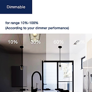 FLSNT LED Globe Edison Light Bulbs 40W Equivalent, Dimmable, 2700K Soft White, 300LM, E26 Base, CRI80, Clear Glass, 6 Pack