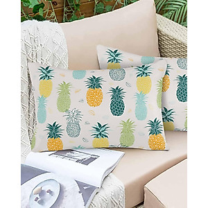 ALAGEO Outdoor Waterproof Pillow Covers for Patio Furniture Pineapple Decorative Throw Pillow Cover Summer Tropical Fruit Pillowcases Set of 2 Cushion Case for Sofa Couch Chair Home Decor 20x12 inch