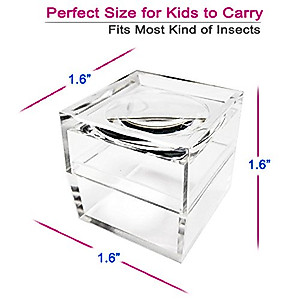 MagniPros Pack of 3 Magnifier Box Bug Viewer Magnifies up to 5X(500%) with Crystal Clear Image