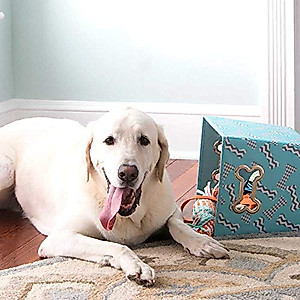 Paw Prints 38075 Bones Design Fabric Pet Toy Bin, 14.5" L x 10" W x 10" H