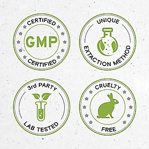 Secrets of the Tribe Horse Chestnut Tincture Alcohol-Free Liquid Extract, Horse Chestnut (Aesculus hippocastanum) Dried Nut (2x4 FL OZ)