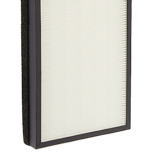 Rowenta XD6074 True HEPA Filter Allergen Remover for PU4020 and PU4081 Intense Pure Air Bedroom Auto Purifier, Black, 46 in