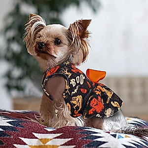 BOTEWO Halloween Dog Dress Lightweight Velvet Pets Clothes Cute Girl Doggies Dresses Outfits with Bow Tie Puppy Cat Holiday Cosplay Costume(XXS,Black)