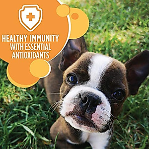 IAMS Smart Puppy Dry Dog Food with Real Chicken, 15 lb. Bag