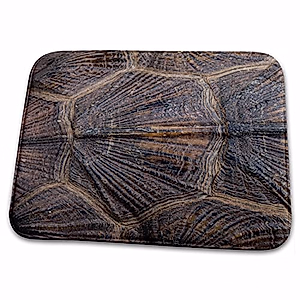 Dish Drying Mat - Wood Turtle carapace detail, USA Reptile