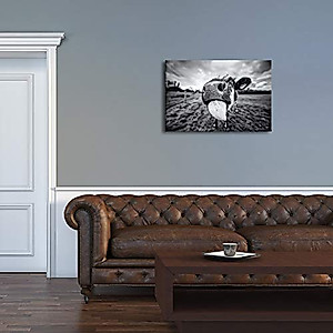 iKNOW FOTO Canvas Print Wall Art Black and White Freedom Highland Cow Pictures Funny Animal Painting Stretched and Framed Artwork for Home Office Decor Ready to Hang 24x36inch