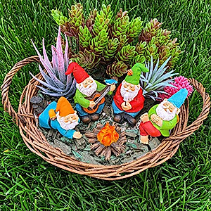 Mood Lab Miniature Garden Gnomes - Camping Gnome Kit of 5 pcs - Figurines & Accessories Set - Outdoor or House Decor