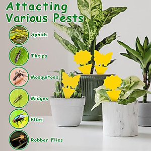 Fruit-Fly Sticky-Trap 52pc Mosquito-Repellent Insect Killer Outdoor Indoor Sticky Bug-Catcher for Wasp Mosquito Ant Gnat Fungus Gnat Roach Whitefly Aphid Leaf Miner