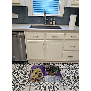 Caroline's Treasures Cairn Terrier Gone Fishing Machine Washable Memory Foam Mat doormats, Multicolor