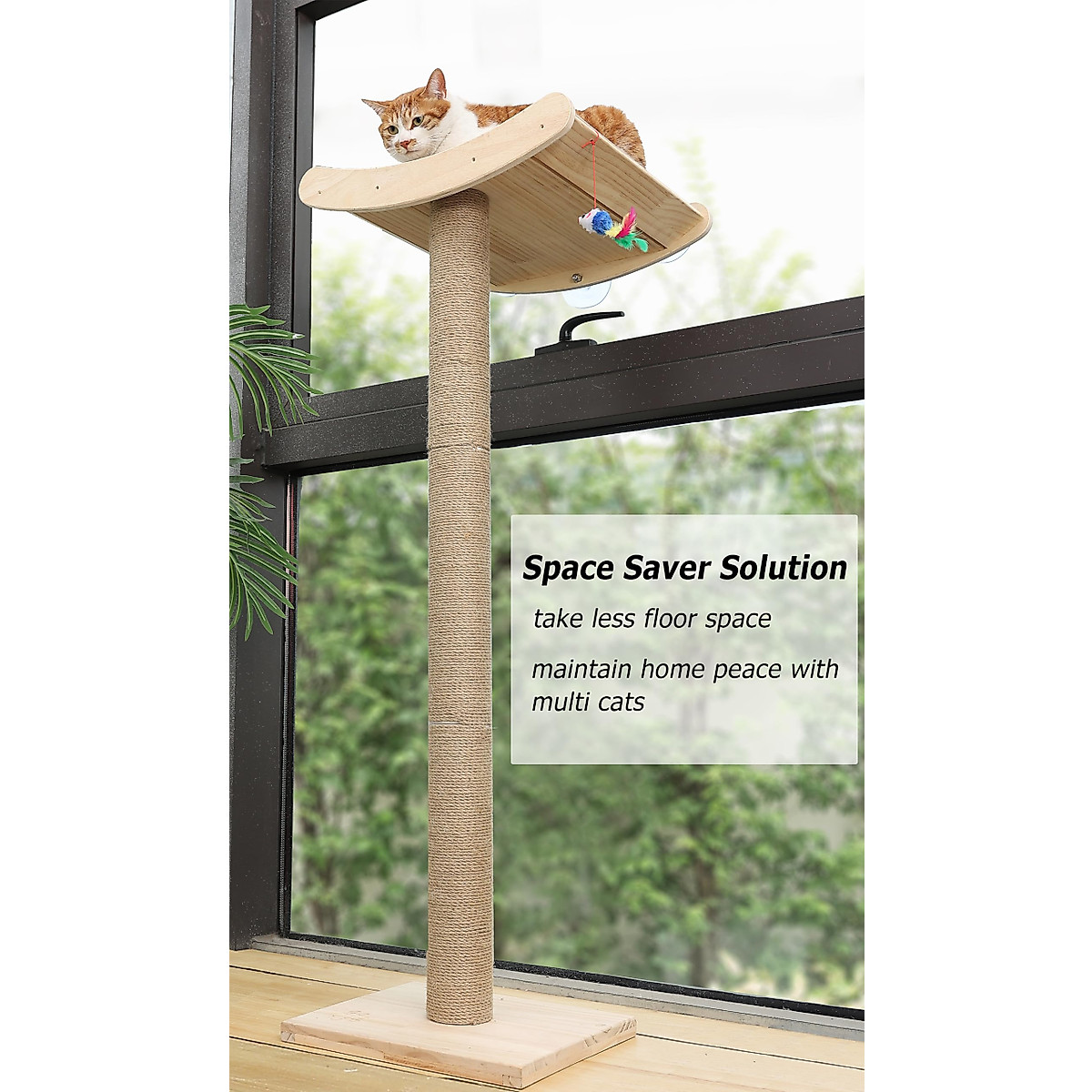 Window Cat Perch with Scratching Posts, 46" Wood Tree Bed for Large Inside Cats Climbing, Perching and Lounging, Mounted with 3 Strong Suction Cups (Wood Platform)