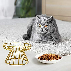 Cat Bowl-Raised Cat Food Bowl,Elevated Cat Feeder Bowl Stand, Food & Water Anti Vomiting Shallow Ceramic Cat Dish, with Non-Slip Mat Pet Bowl for All Cat1