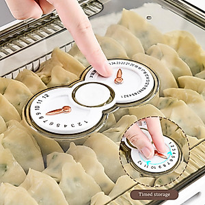 Dumpling Box, 4 Layers Freezer Safe Food Storage Containers, Transparent Stackable Cookie Container with Lid Plastic Good Sealing for Kitchen and Fridge