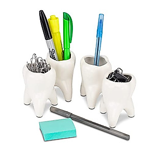 Practicon 9099210 Mini Molar Vases (Pack of 4)