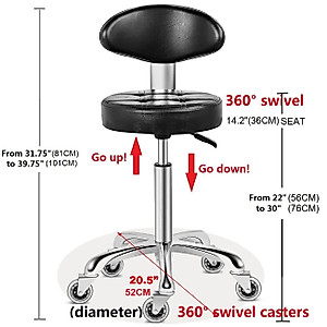 Kaleurrier Swivel Stool Chair Adjustable Height,Heavy Duty Hydraulic Rolling Metal Stool for Kitchen,Salon,Bar,Office,Massage (with Back Rest) (Black)