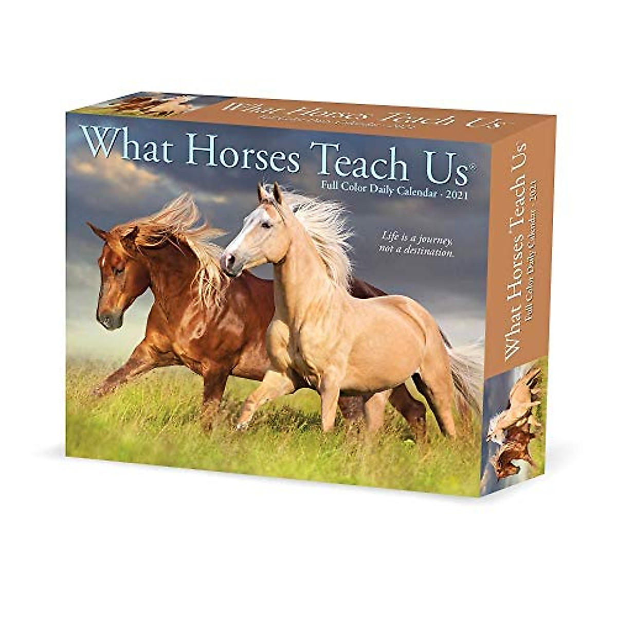 What Horses Teach Us 2021 Box Calendar