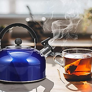 Lurrose Tea Kettle Stovetop Classic Teapot Stainless Steel Teakettle Whistling Teapot with Cool Grip Handle for Stovetop 2QT