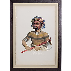 Shau-Hau-Napu-Tinia, An Ioway Chief