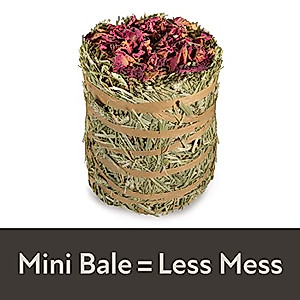Kaytee Field+Forest Mini Hay Bales Rose 3.5 Ounces