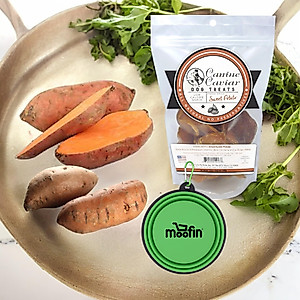 moofin Dried Sweet Potato Dog Snacks, 12 Oz - Single Ingredient Healthy Treats, Bundle Silicon Pet Bowl, Free of Gluten Preservatives, Maintains Dental Health [Pack of 3]