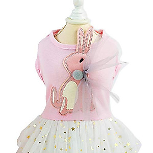 Puppy Costume Teacup Yorkie Girl Lace Dress Print Pet Breathable Cat Rabbit Pet Clothes Girl Dog Clothes Small