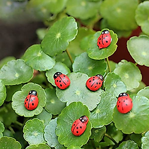 40pcs 9 Scenarios Fairy Garden Figurines Miniature Accessories, Micro Landscape