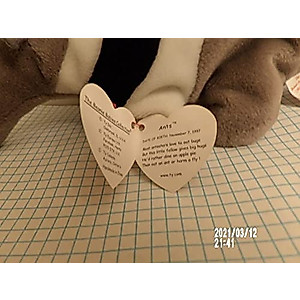 Ty Teenie Beanie Babies : ANTSY ANTEATER Teenie Beanie Baby Plush NWT #2 YR 1993 .HN#GG_634T6344 G134548TY8366