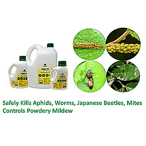 Deepthi Pure Neem Oil for Plants - Concentrated - Cold Pressed - Spray for Indoor Outdoor Garden - 100% Neem Oil – Controls Mildew - 33.8 Fluid Oz (1000 ml)