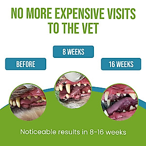 Caniclean Seaweed for Dogs Teeth - Dog Tartar Removal Tool, Plaque Remover, and Breath Freshener - Get Plaque Off Dogs Teeth Naturally. 14oz/396g.