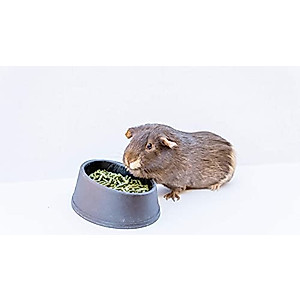 High Desert Delight Alfalfa Pellets: The Holy Grail of Small Pet Food for Your Furry, Feathered, and Shelled Friends