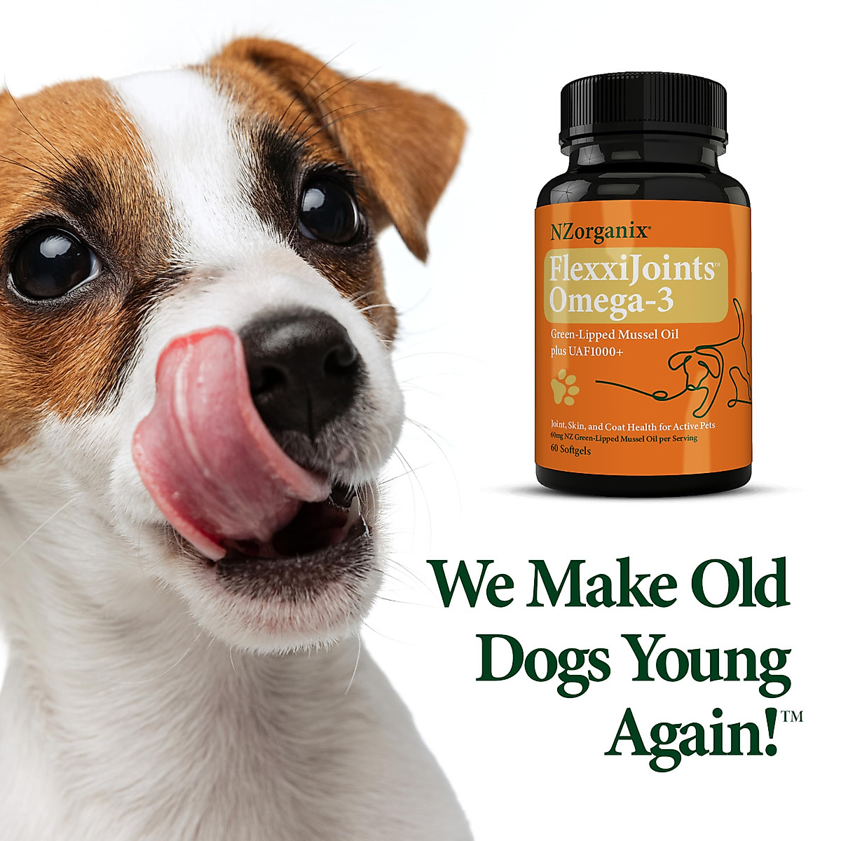 FlexxiJoints Omega-3 Hip and Joint Supplement • Green-Lipped Mussel Omega-3 Oil for Dogs • 100% New Zealand Green-Lipped Mussels (60 Softgels)