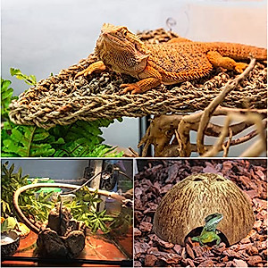 Hamiledyi Bearded Dragon Hammock Lizard Jungle Climber Vines Reptile Corner Branch  Coconut Shell with Suction Cups for Gecko,Snakes,Chameleon