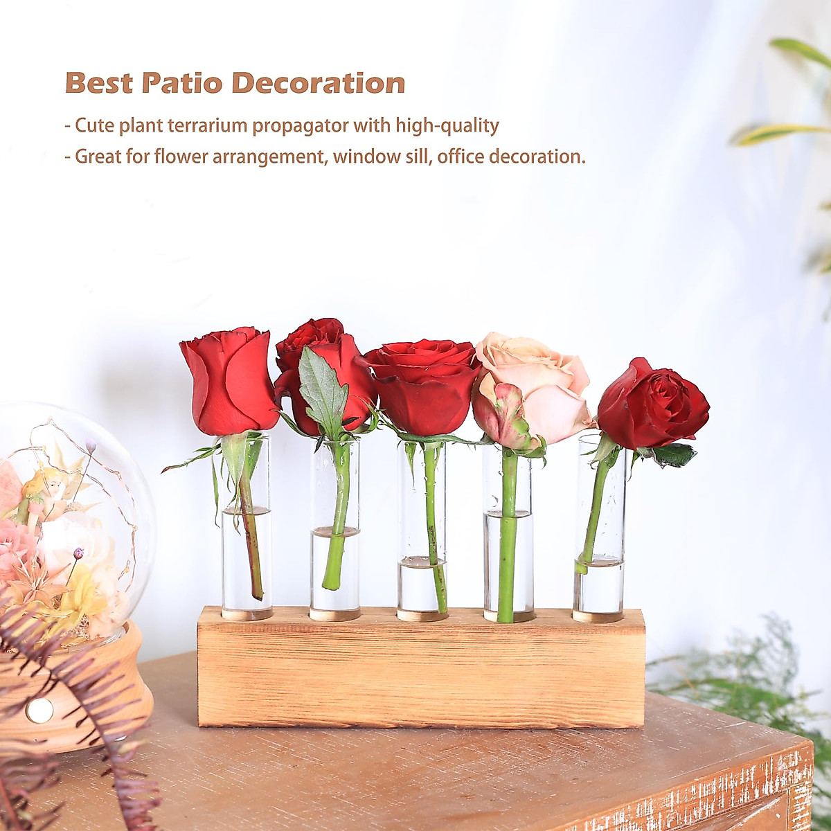 KAXYEW Plant Propagation Station, Plant Propagation Tubes, Gifts for Plant Lovers Office Desk House Garden Décor Plant Terrarium with Wooden Stand