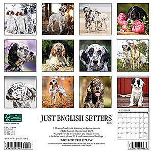 Just English Setters 2021 Wall Calendar (Dog Breed Calendar)