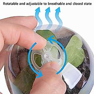 EBaokuup 20pcs Biodegradable Pots with Humidity Dome,3" Plant Nursery Pots with Humidity Dome,Seed Starter Pots Biodegradable Peat Pots for Seedlings,Vegetables