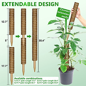 Moss Pole 56 Inch, 4 Pcs Moss Pole Monstera Plant Support, 17.7 Inch Coir Totem Pole Moss Stick for Climbing Plants Indoor Monstera Extension, Train Potted Creepers to Grow Upwards, 65 Feet Twist Tie