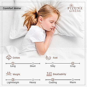 Pizuna Percale Cotton King Duvet Cover Set, 100% Long Staple Cotton Crisp Percale Weave with Button Closure (Combed Silver Cotton Duvet Cover King)