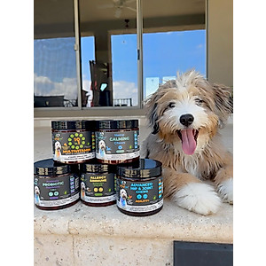 Googipet Premium 10 in 1 Dog Vitamins Multivitamin Chewable w/Dog Probiotics for Gut Health, Dog Vitamins and Supplements w/Vitamin C & Glucosamine for Joint Support (Peanut Butter & Pumpkin Flavor)