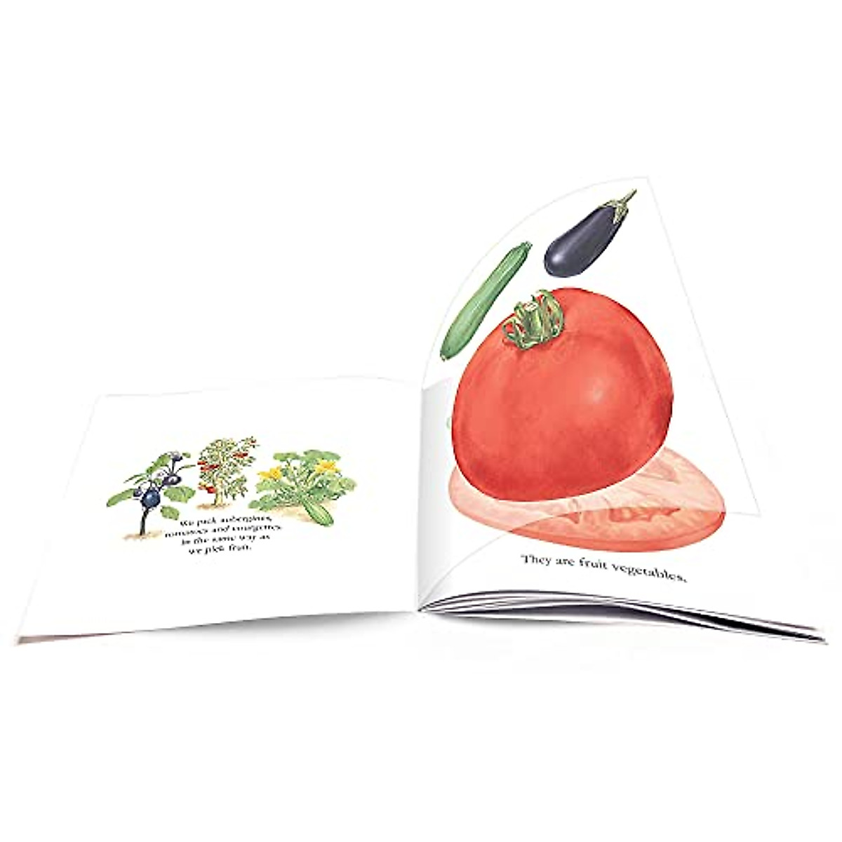 Vegetables (My First Discovery Paperbacks)