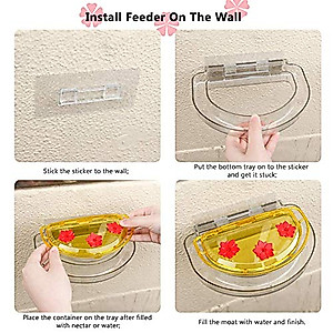 Lulu Home Hummingbird Feeder, 8 Fluid Ounces Flower Bird Feeder with 3 Feeding Stations for Outdoors (1)