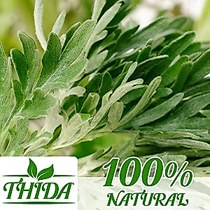Wormwood Tea 15 Bags | Asian Herb Tea Wormwood Leaves Supply From Thailand