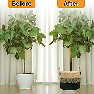 ZOES HOMEWARE 14"x12" Natural Jute Rope Woven Storage Basket with Handles for Plant, Blankets,Toys - Living Room Home Decor,Multifunctional Basket for Organizer,Picnic,Artificial Tree Black and Beige