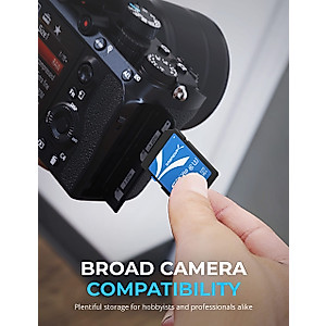 SABRENT Rocket V60 1TB SD UHS-II Memory Card R270MB/s W170MB/s (SD-TL60-1TB)