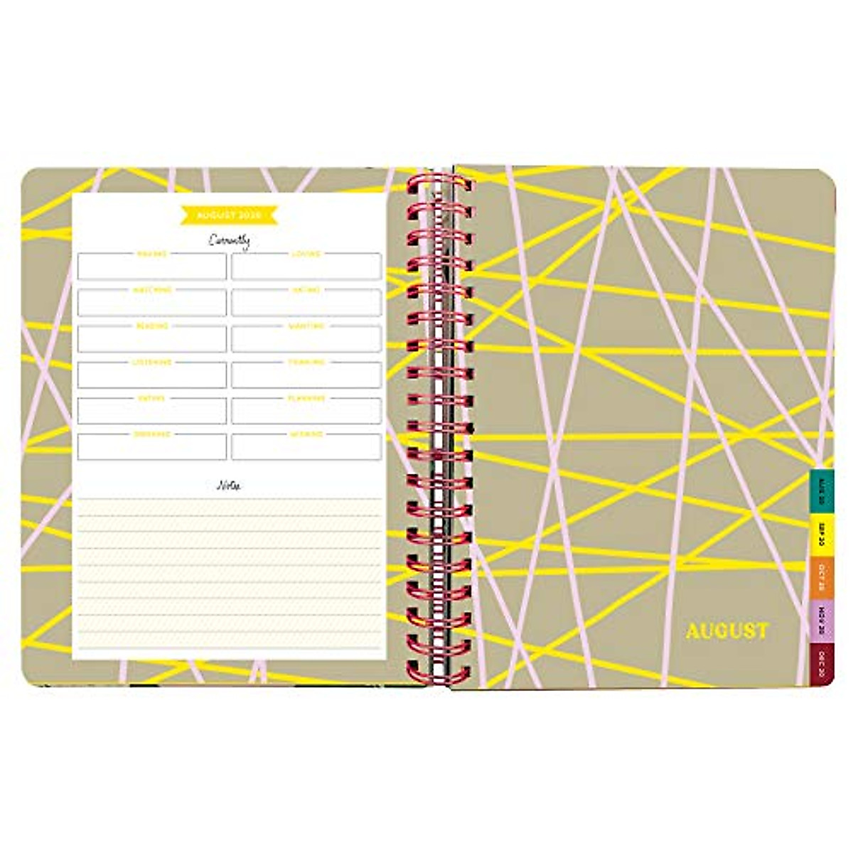 This Is My Song 17-Month Large Planner 2020-2021 (Pipsticks+Workman)