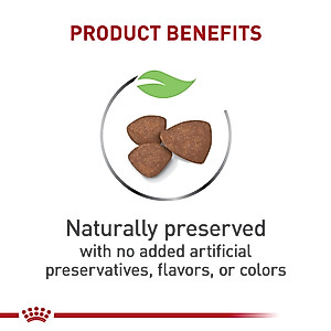 Royal Canin Size Health Nutrition Small Breed Dry Puppy Food, Supports Brain Development, Immune Support, and Digestive Health, 14 lb Bag