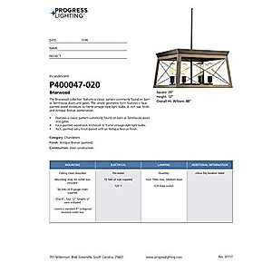 Briarwood Collection 4-Light Coastal Chandelier Light Antique Bronze