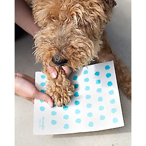 Ecologie Swedish Sponge Reusable Dishcloth, Bali Blue 2 Count