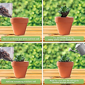 Halatool 3 QT Organic Succulent Soil Potting Mix Garden Top Soil for Indoor & Outdoor Plants Bonsai Aloe Vera Soil for Houseplants Flowers Vegetables & Herbs